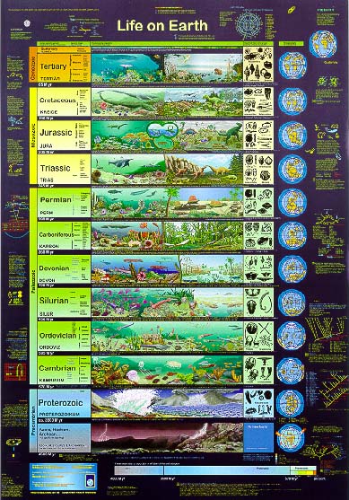 Life on Earth, poster website
