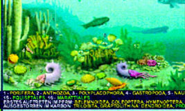 Lebendiger Planet, Poster website